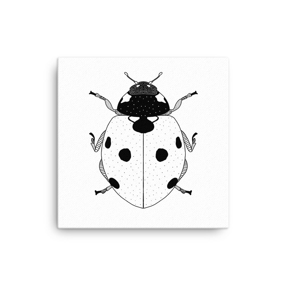 Ladybug Canvas – Scribble Collective